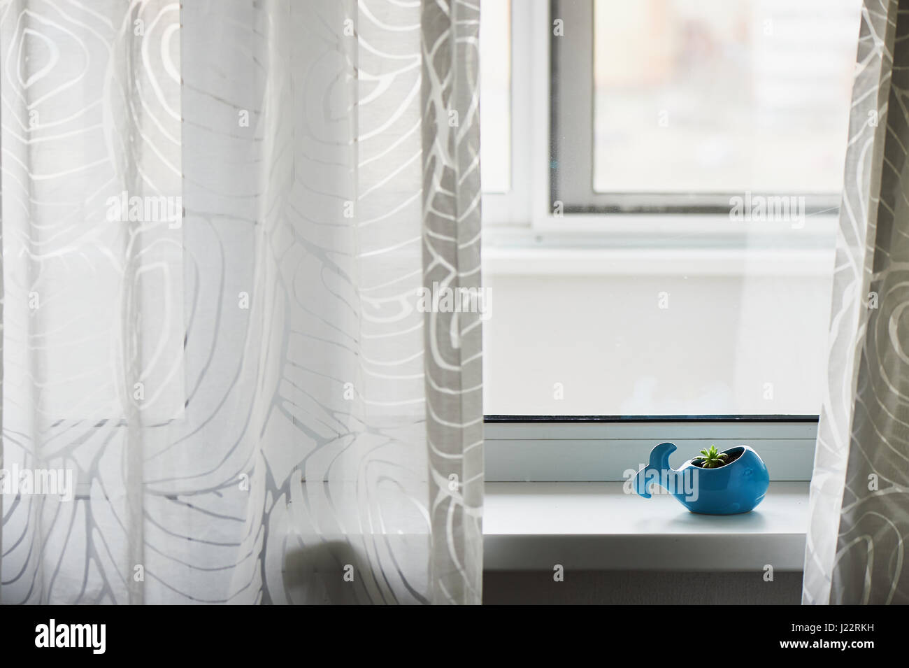 little blue pot in the shape of a whale on a light windowsill. Flower ...