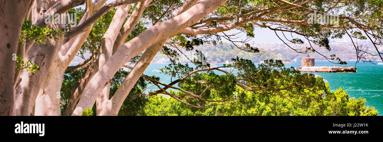 Sydney dawes point park hi-res stock photography and images - Alamy