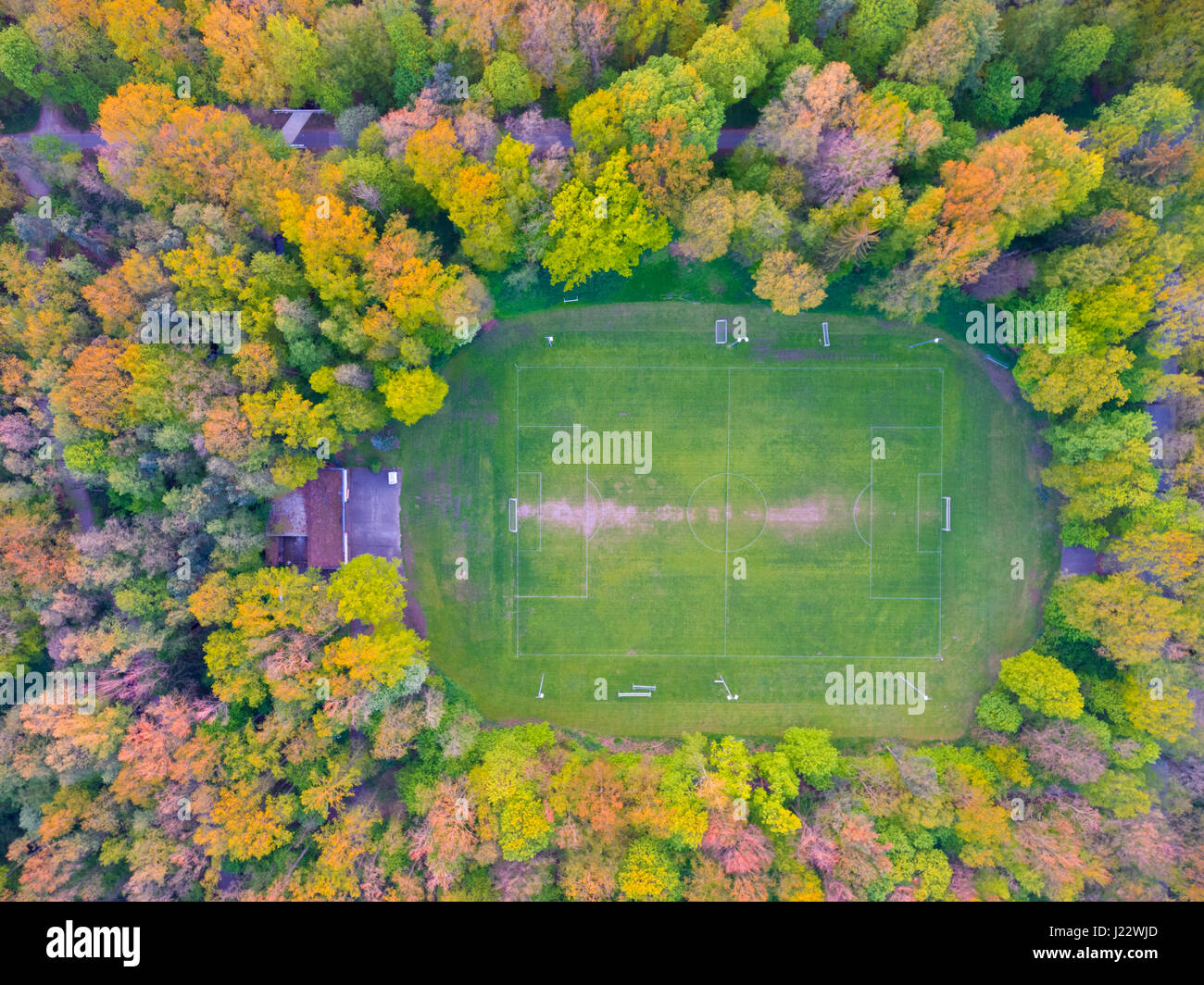 Germany, Bavaria, Nuremberg, soccer ground in forest Stock Photo - Alamy