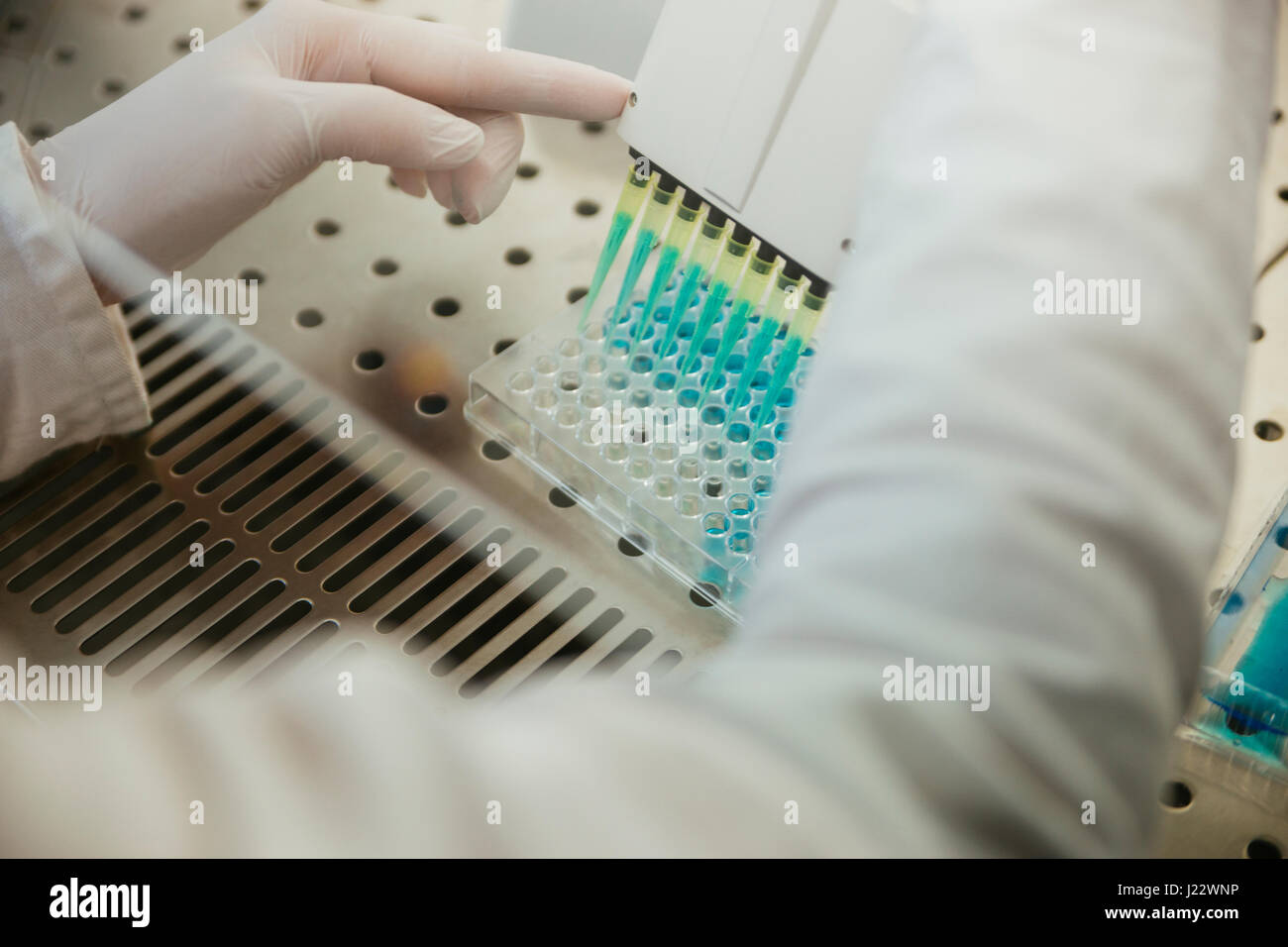 Close-up of laboratory technician pipetting in lab Stock Photo - Alamy