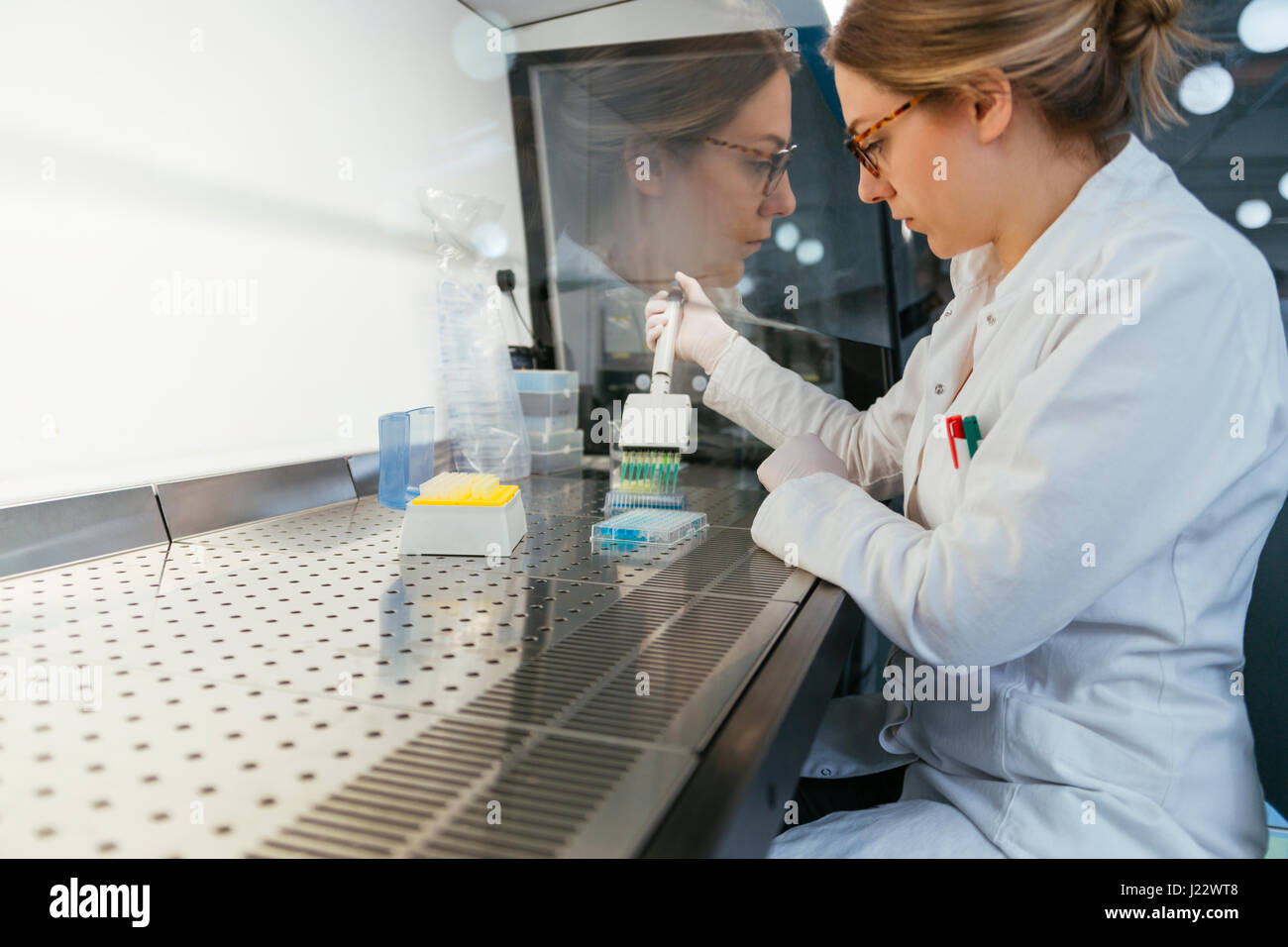 Laboratory technician pipetting in lab Stock Photo - Alamy