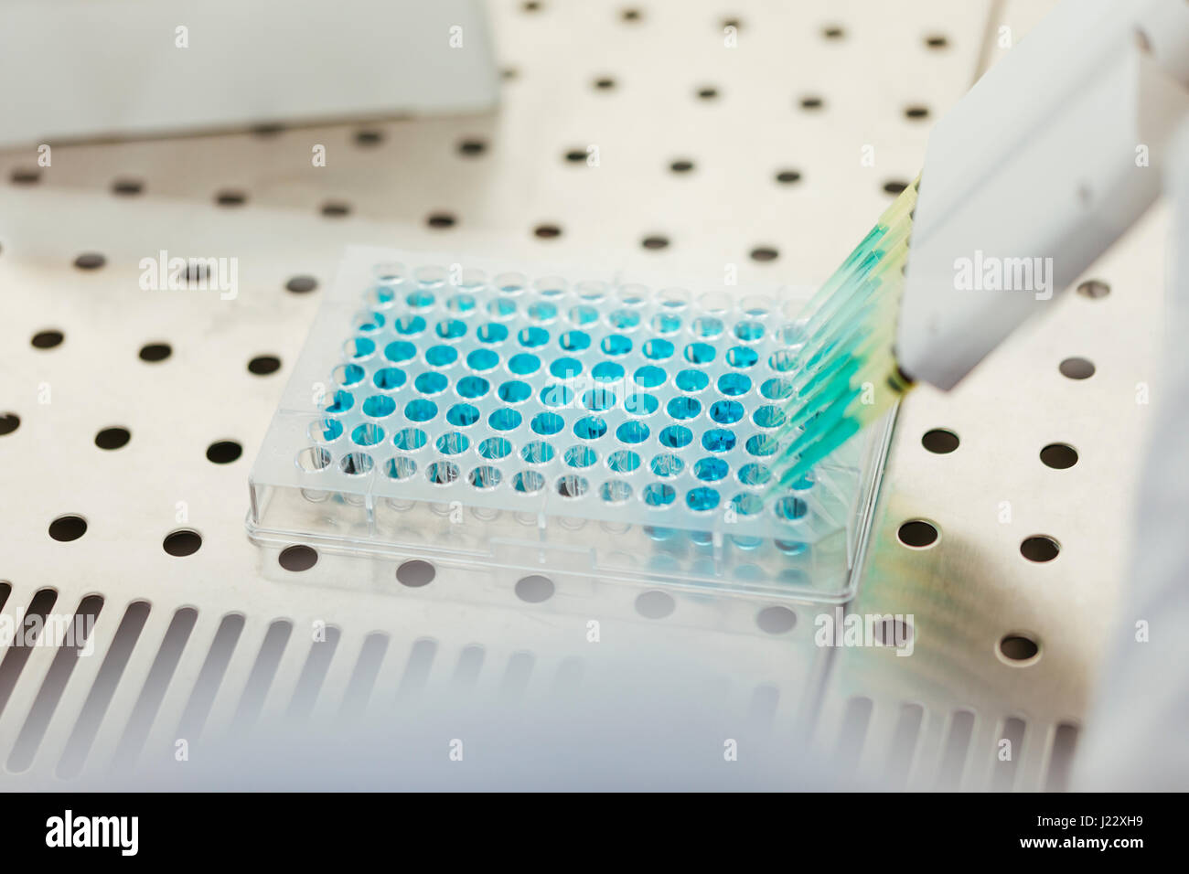 Close-up of pipetting in lab Stock Photo - Alamy