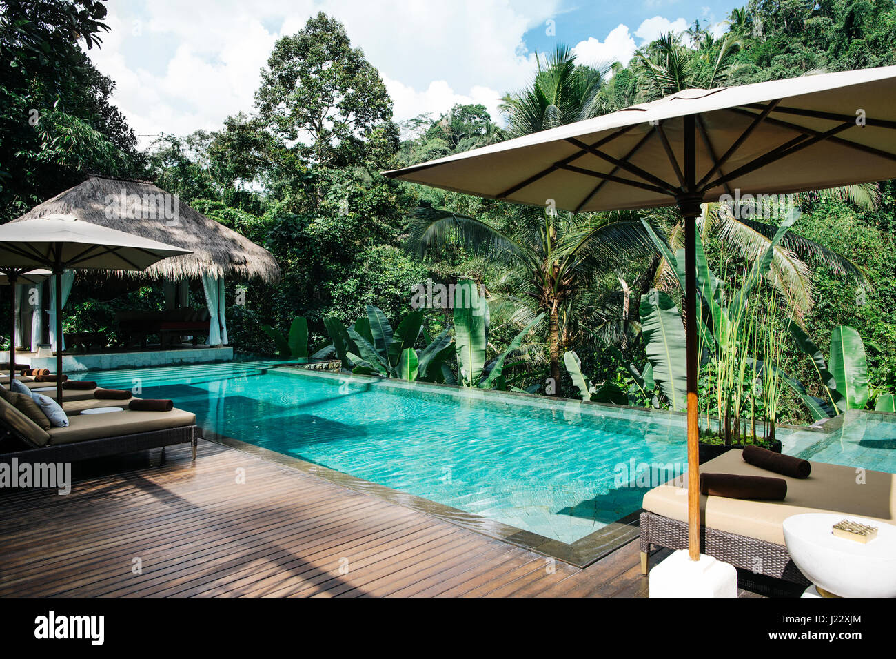 Indonesia, Bali, tropical swimming pool Stock Photo - Alamy