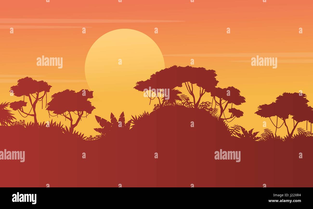 Woods and sunset Stock Vector Images - Alamy