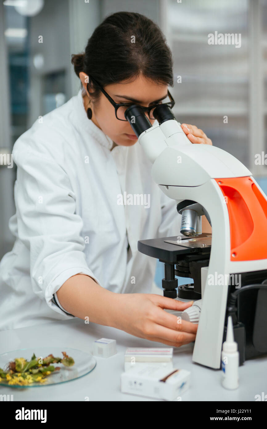 Laboratory technician using microscope in lab Stock Photo - Alamy