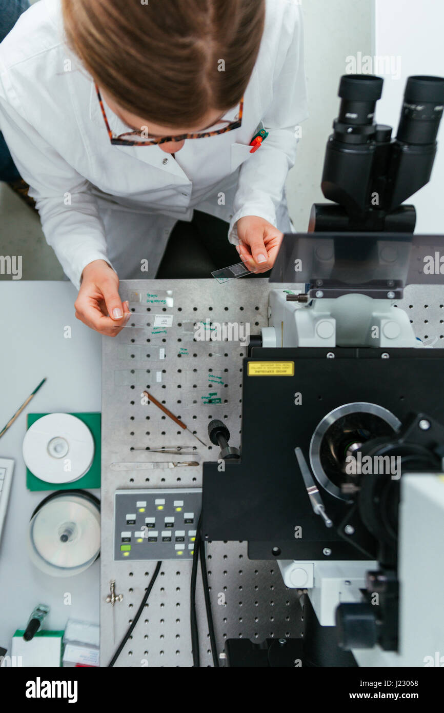 Laboratory technician working in modern lab Stock Photo - Alamy