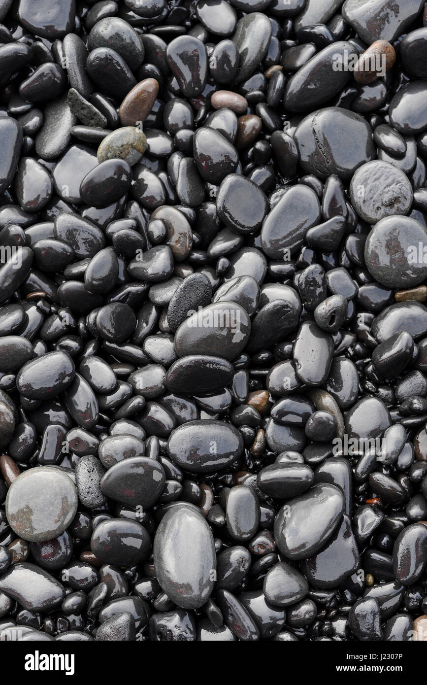 Wet gleaming hi-res stock photography and images - Alamy