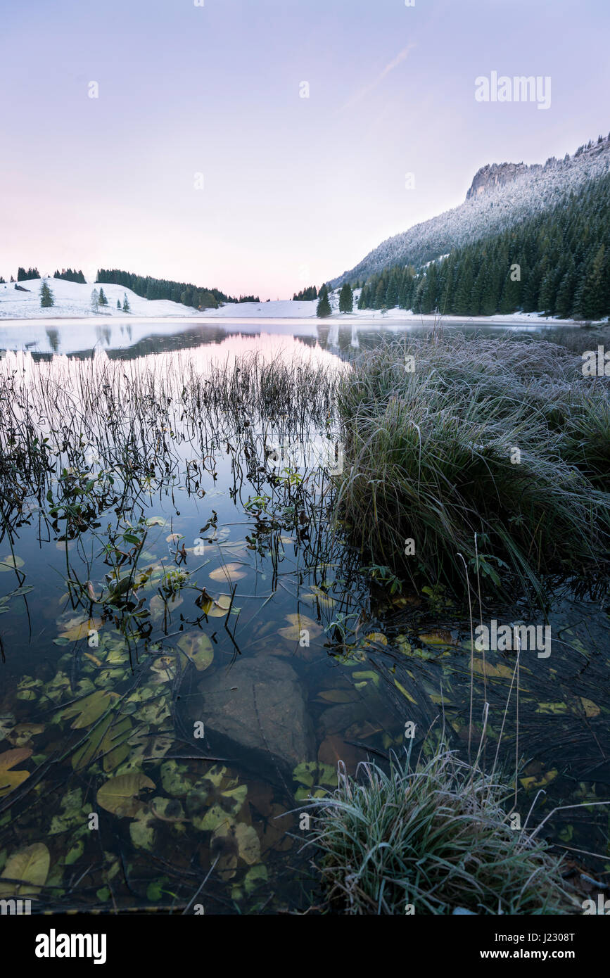 Seewaldsee hi-res stock photography and images - Alamy