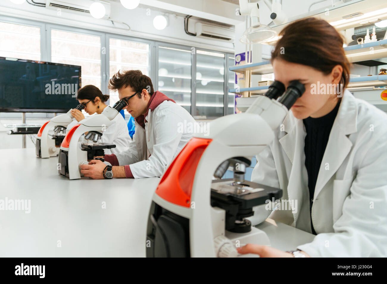 Laboratory technicians using microscopes in lab Stock Photo - Alamy