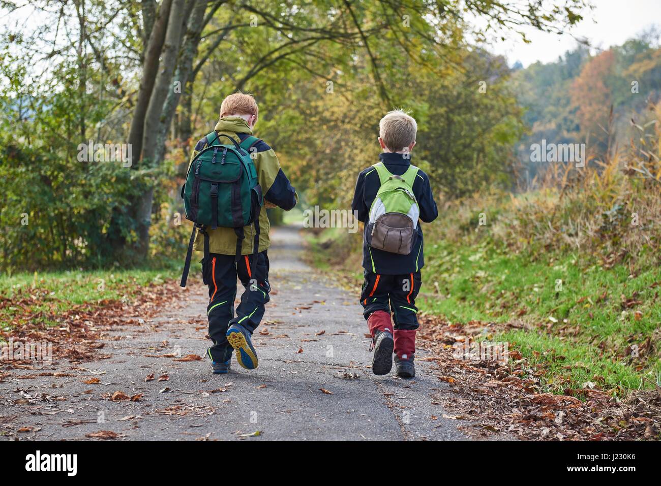 Back view of two little boys with backpacks walking side by side in ...