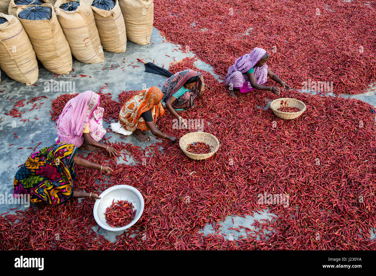 Gabtali High Resolution Stock Photography and Images - Alamy