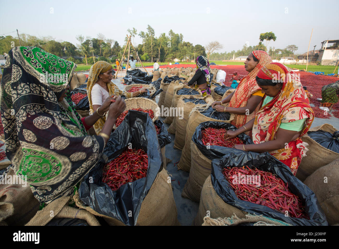 Gabtali High Resolution Stock Photography and Images - Alamy