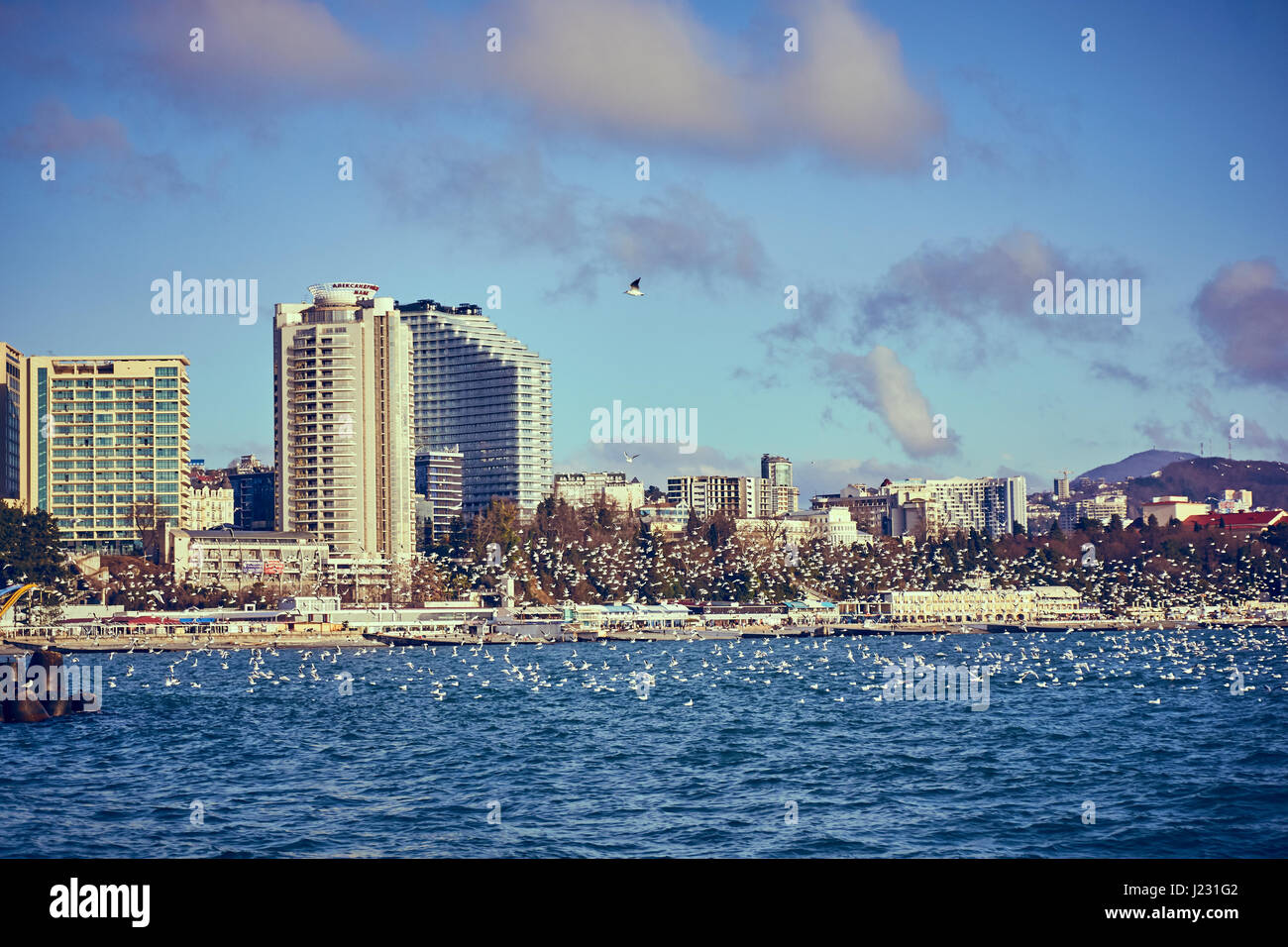 SOCHI, RUSSIA - Sea Port of Sochi Stock Photo - Alamy