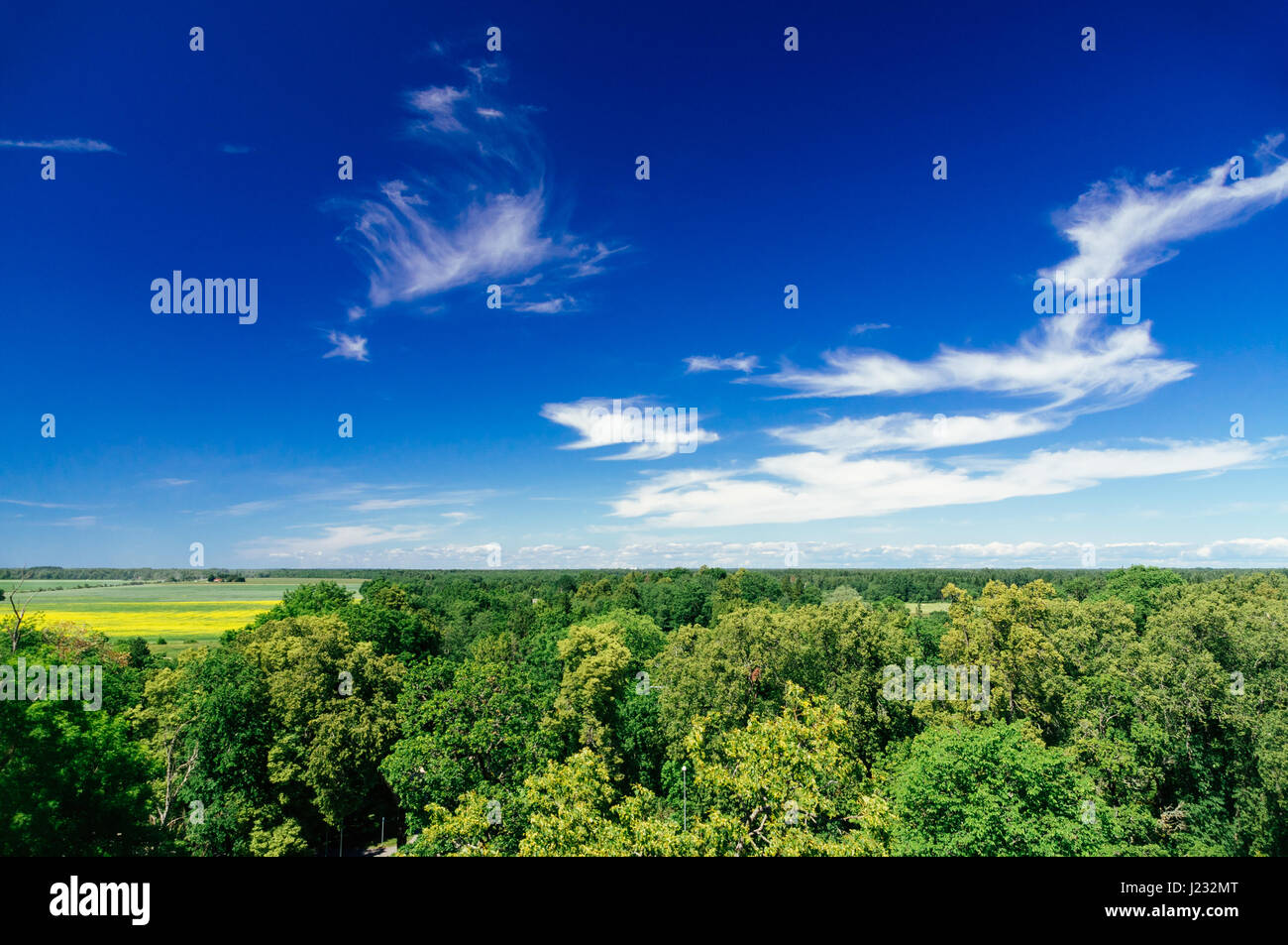 Wonderful cloudscape over forest and field area, summertime landscape ...