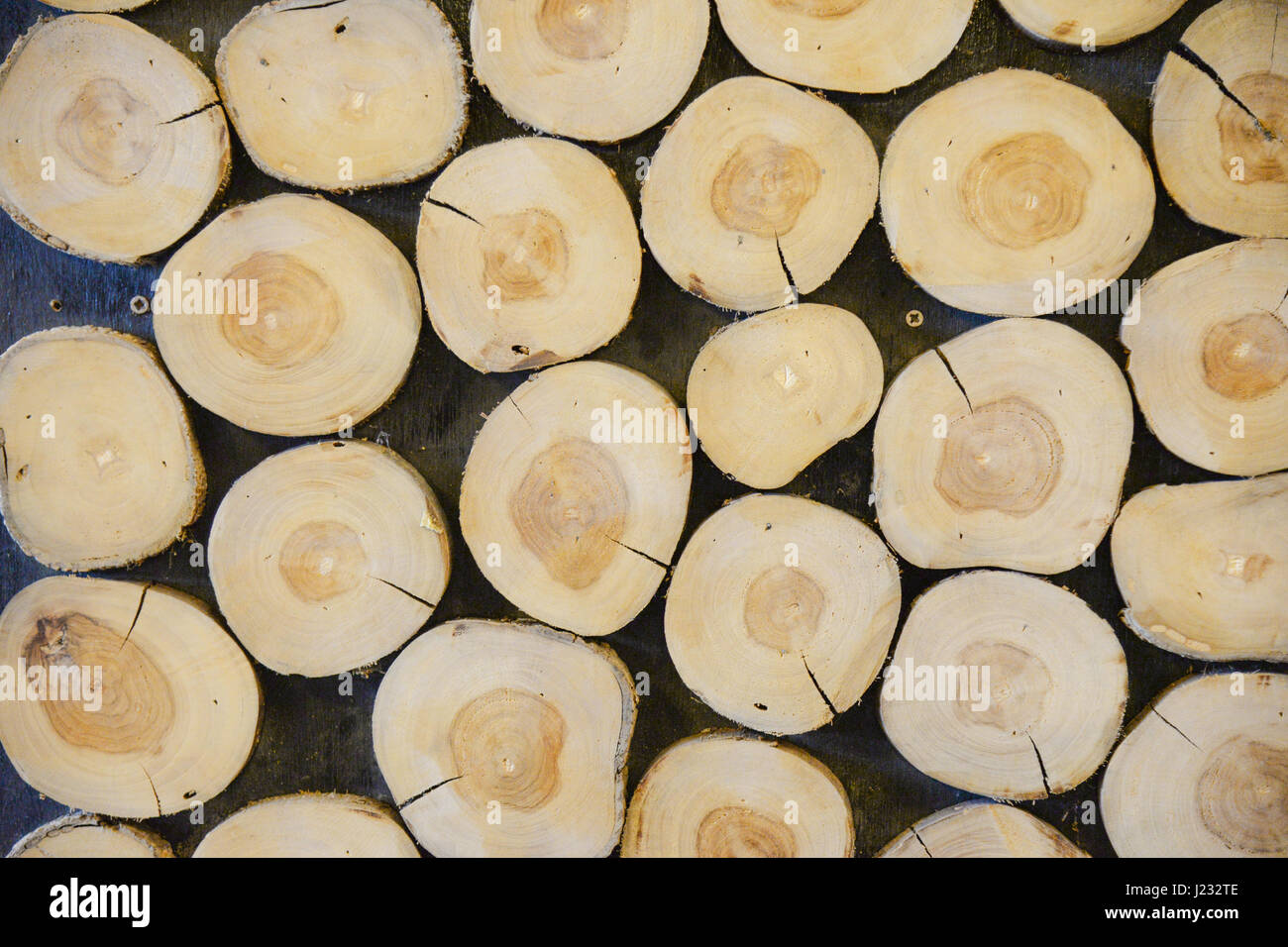 Stumps circle hi-res stock photography and images - Alamy