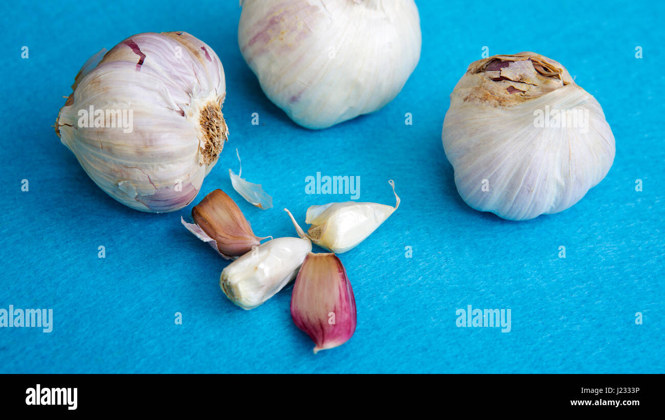 closeup of garlic on a blue table Stock Photo - Alamy