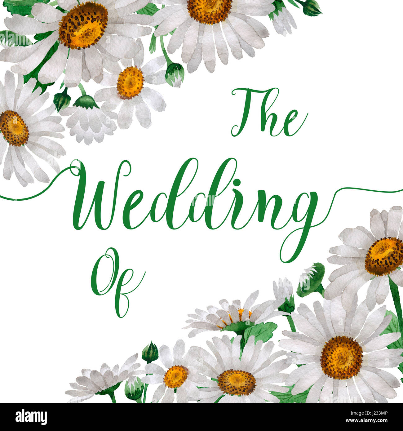 Wildflower chamomile flower frame in a watercolor style isolated. Full ...