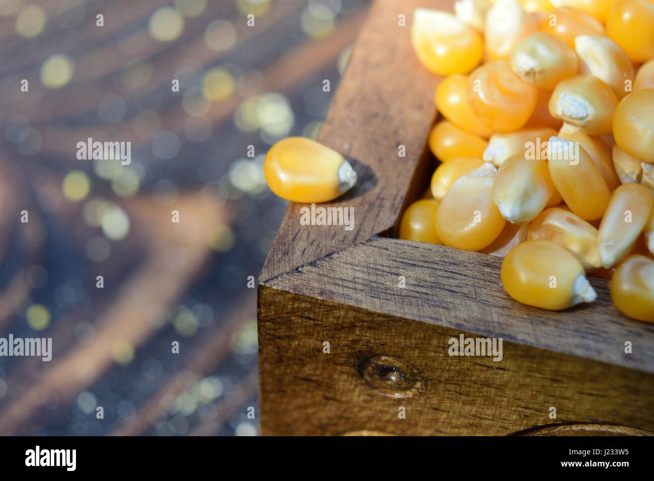A corn bean on the edge of a wooden chest full of corn beans. Natural ...