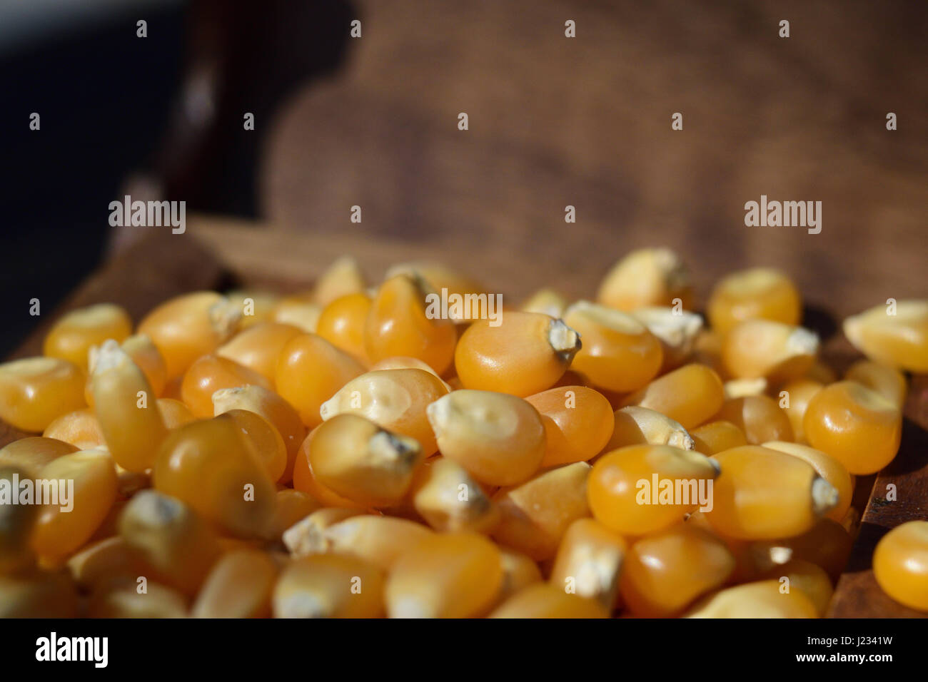 Corn grains hi-res stock photography and images - Alamy