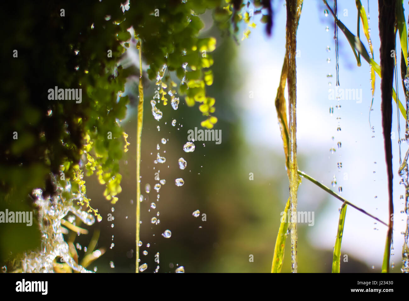 Waterdrops background hi-res stock photography and images - Alamy