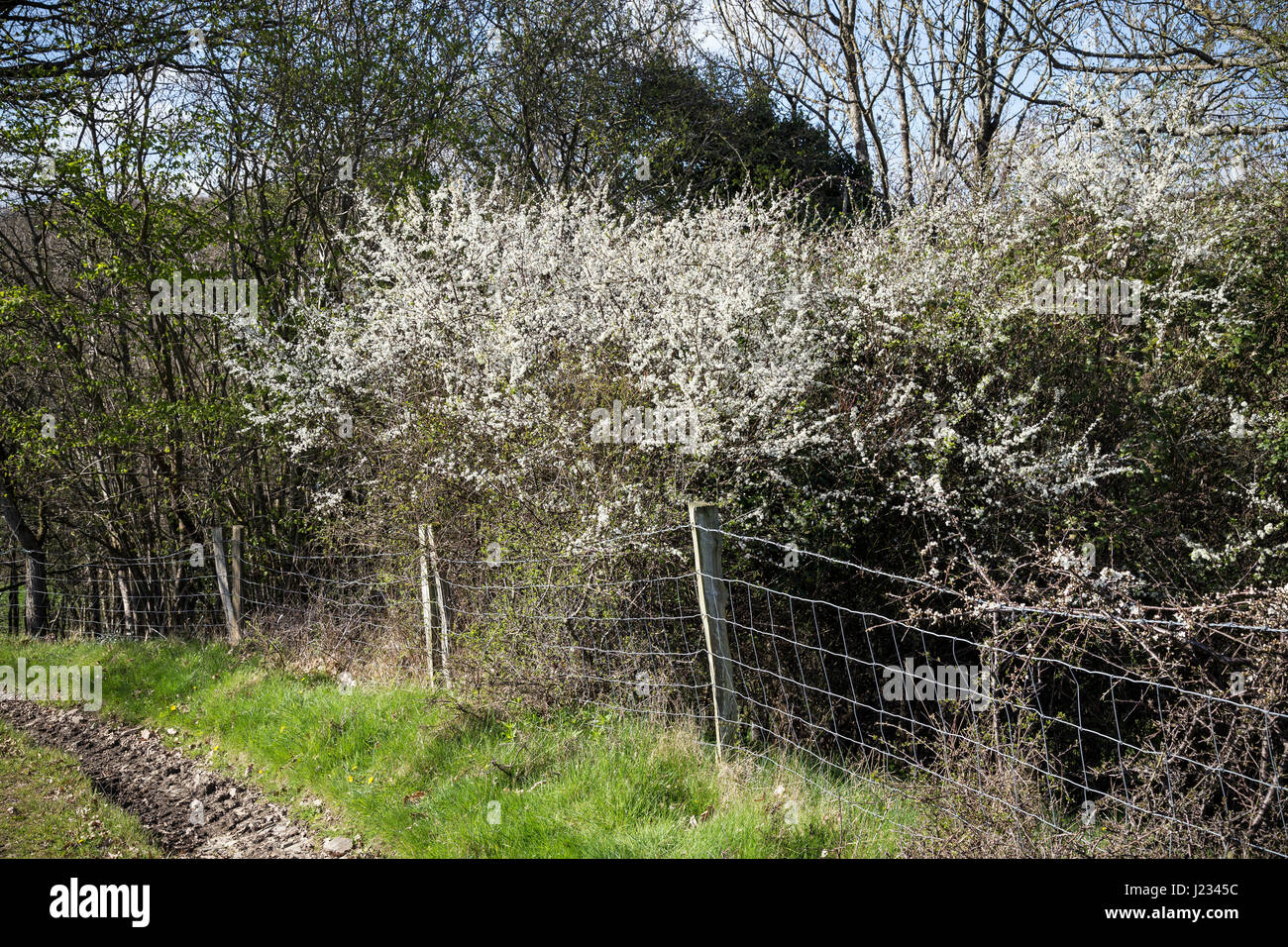 Spring colours hi-res stock photography and images - Alamy