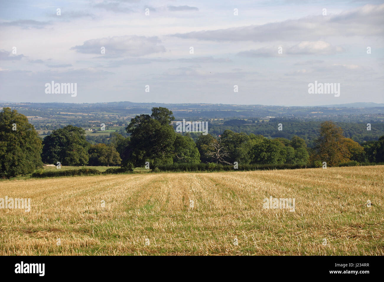 Classical English landscape of rolling hills with fields and trees ...