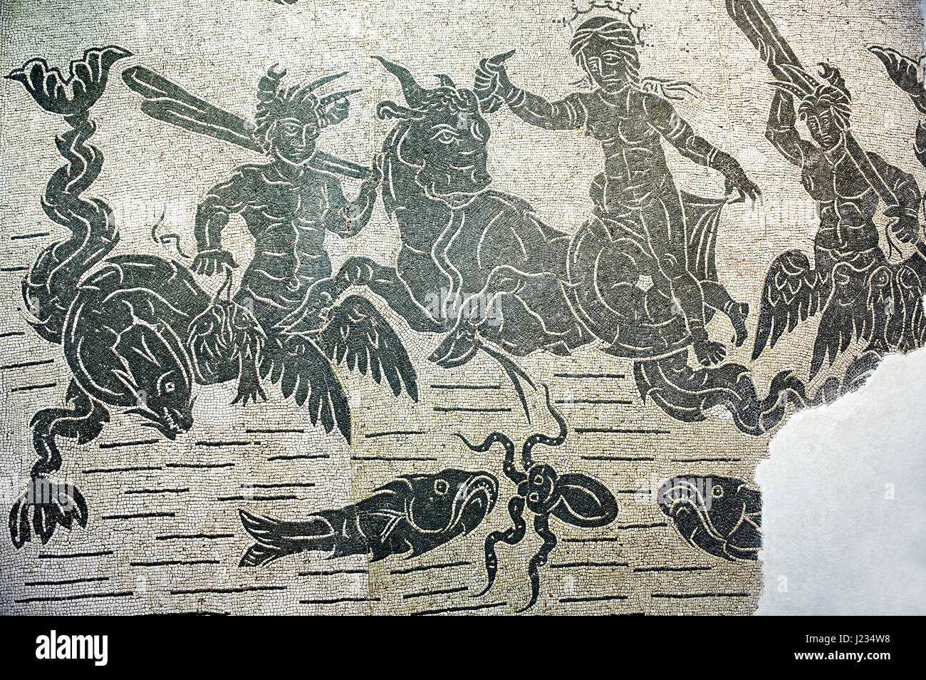 Black and white floor mosaic showing the marine or sea thiasos ...