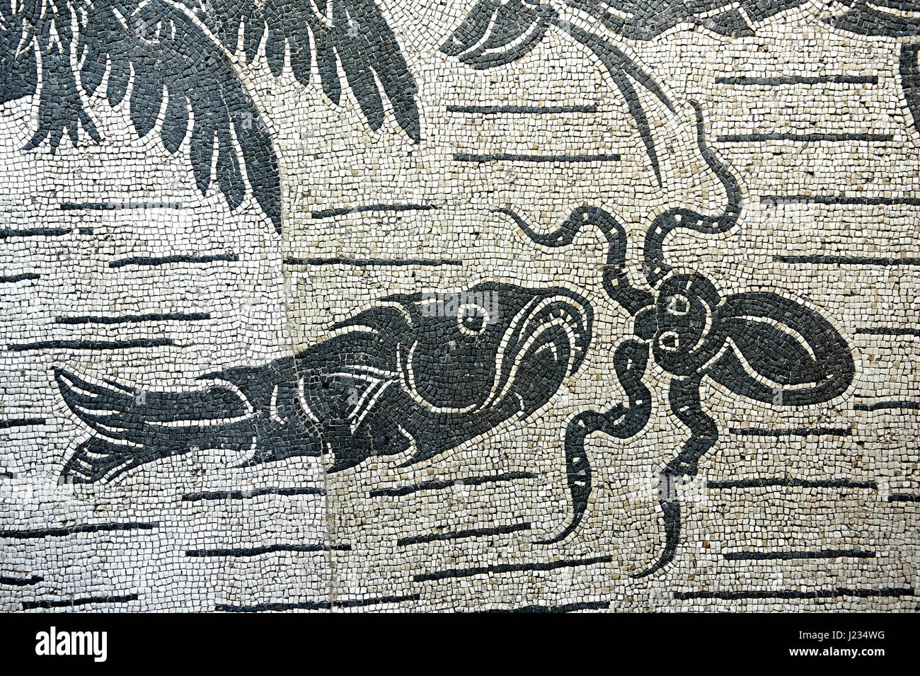 Black and white floor mosaic showing the marine or sea thiasos ...