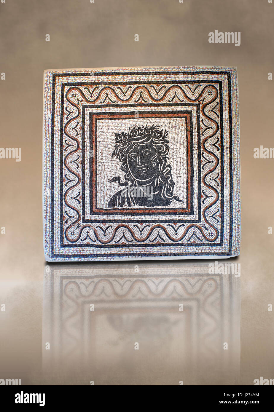 Roman geometric floor mosaic with a bust at its centre. From the Forte ...