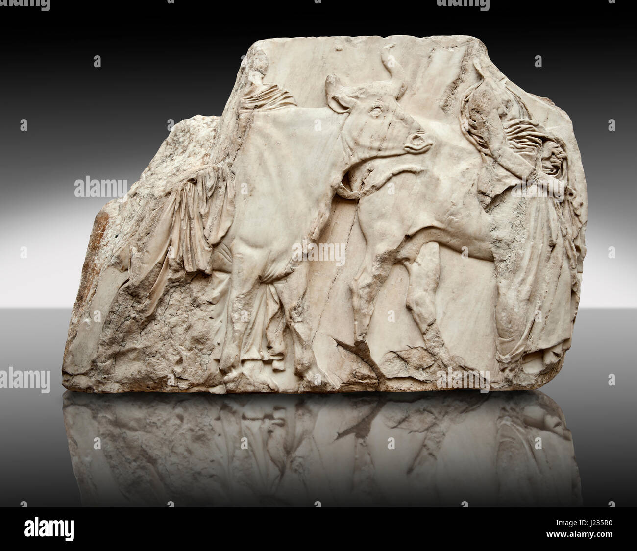 Marble Releif Sculptures from the south frieze around the Parthenon ...