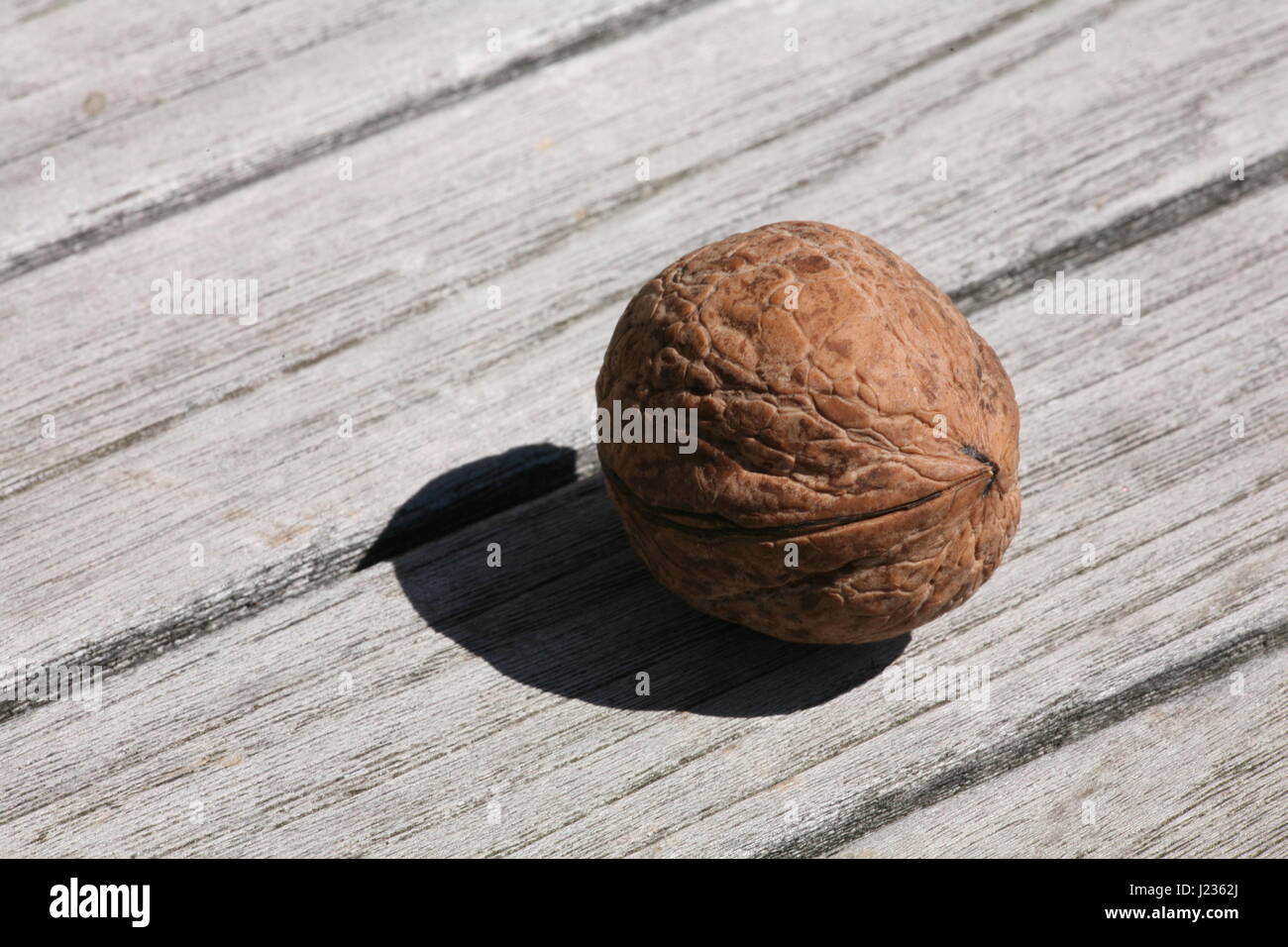 Walnut shell detail hi-res stock photography and images - Alamy
