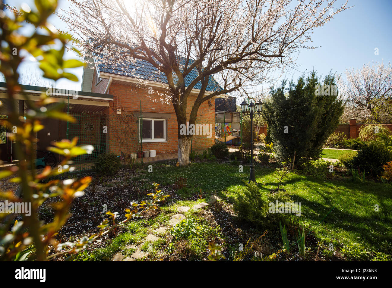 Backyard garden with green spaces, plants, flowers and trees in spring ...
