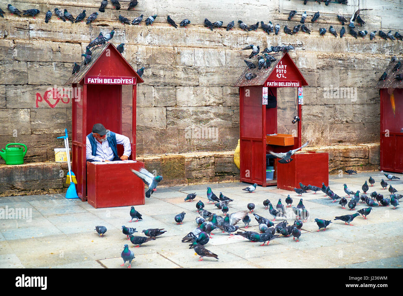 Bird watching cabin hi-res stock photography and images - Alamy