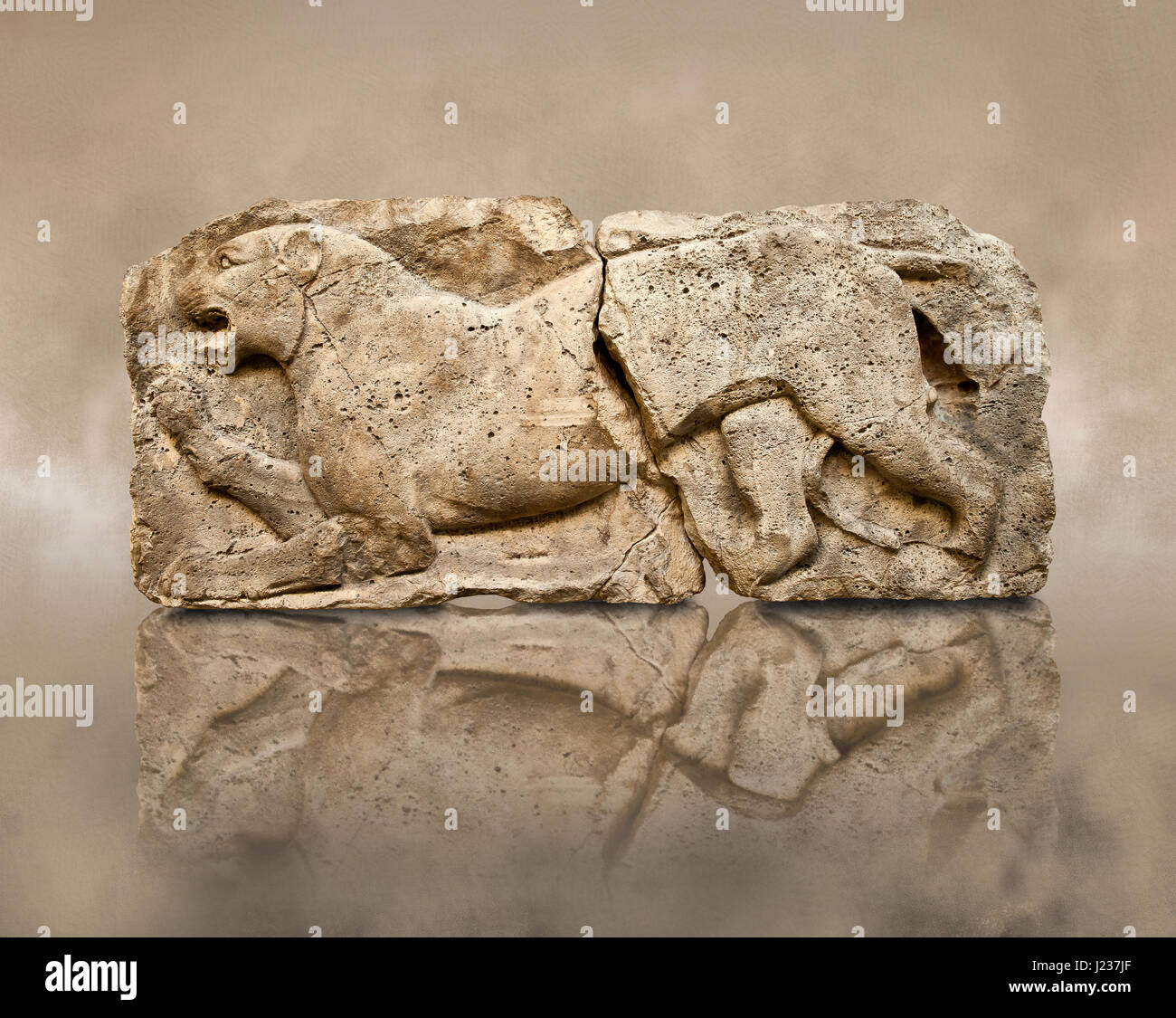 Lion from the "Satyr Hunting Wils Animals, freezes, 460 B.C. From ...