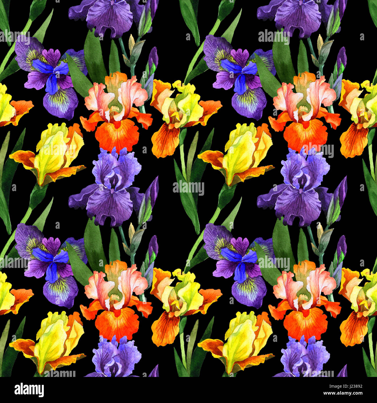 Wildflower iris flower pattern in a watercolor style isolated. Full ...
