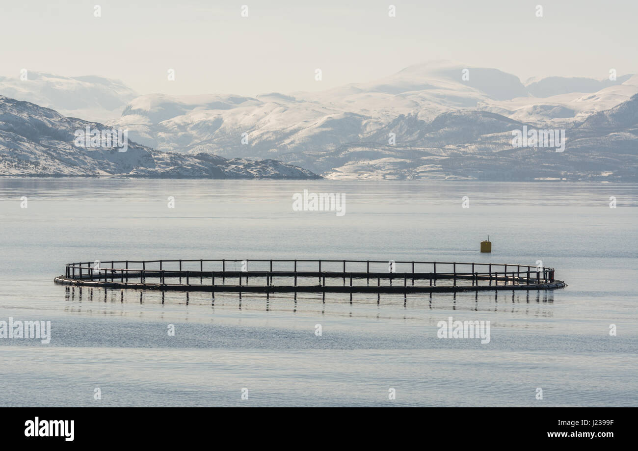 Fish farming hi-res stock photography and images - Alamy