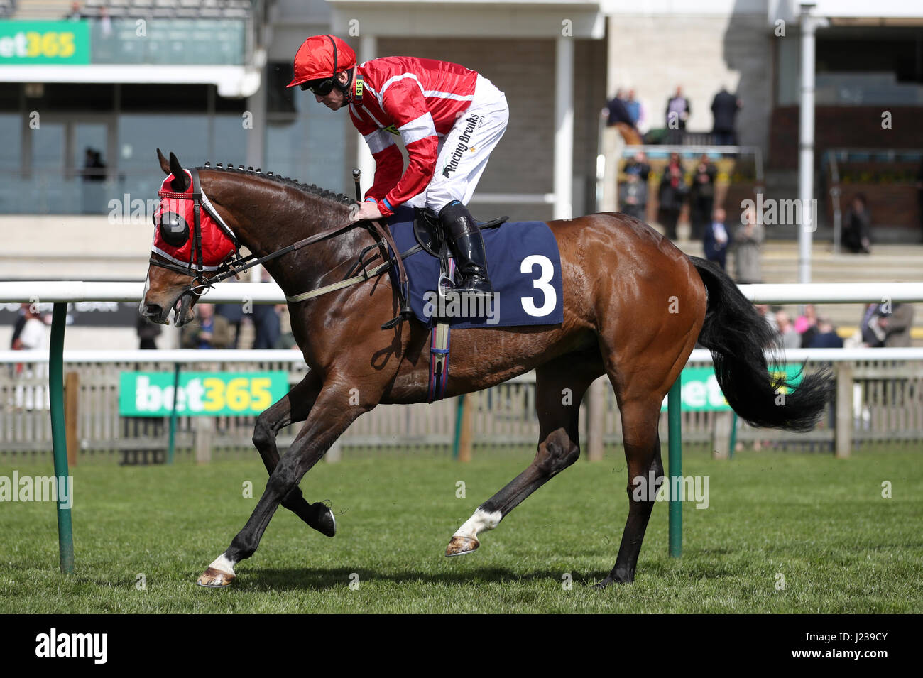 General stud book weatherbys hi-res stock photography and images - Alamy