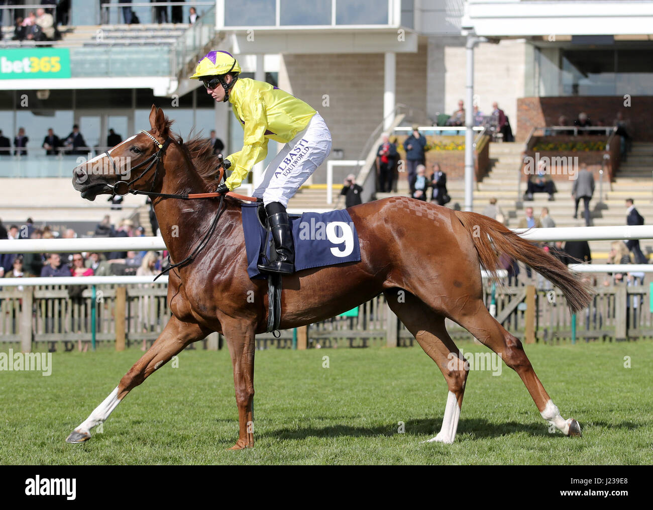 Jockey pat cosgrove hi-res stock photography and images - Alamy