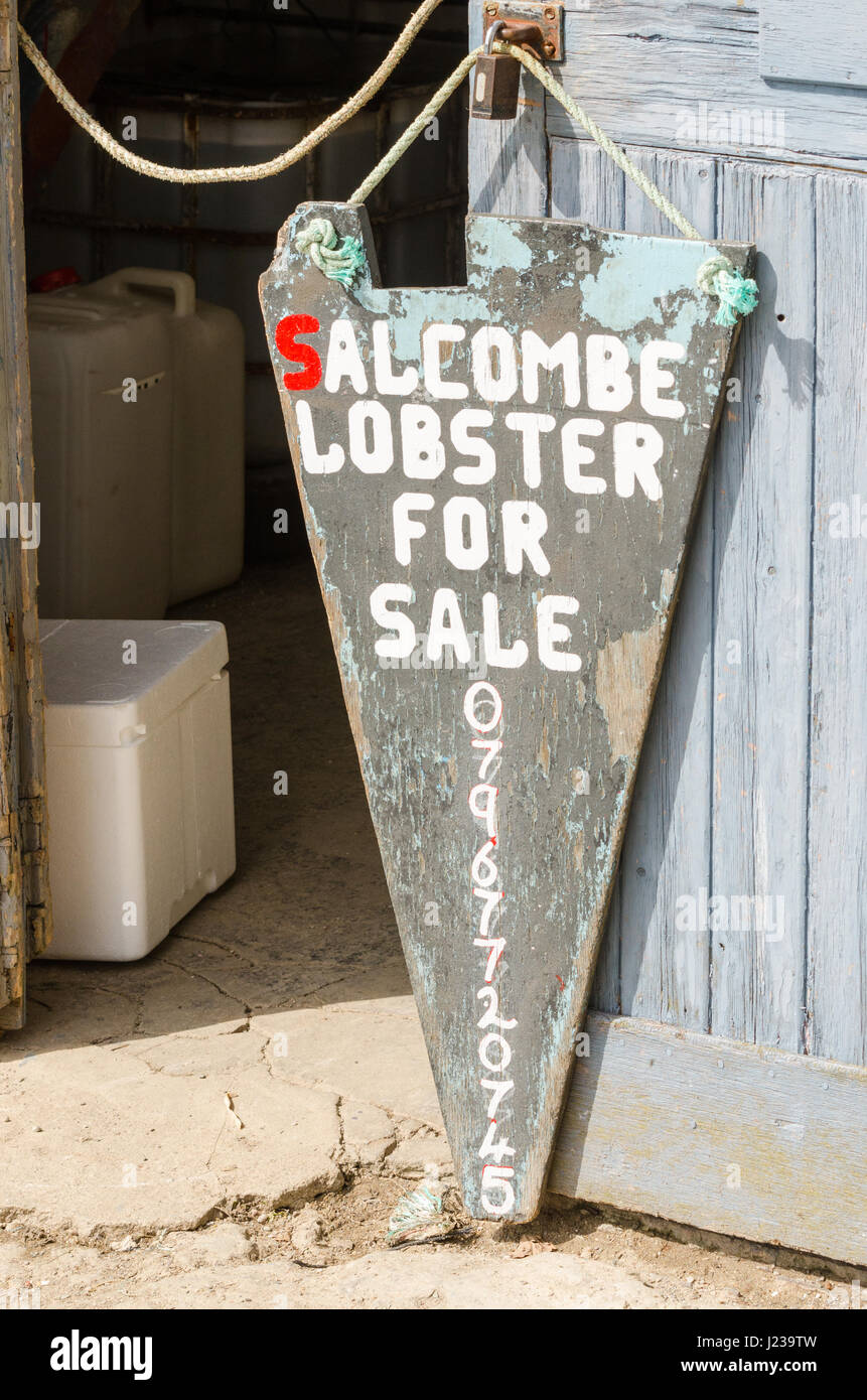 Salcombe lobster hi-res stock photography and images - Alamy