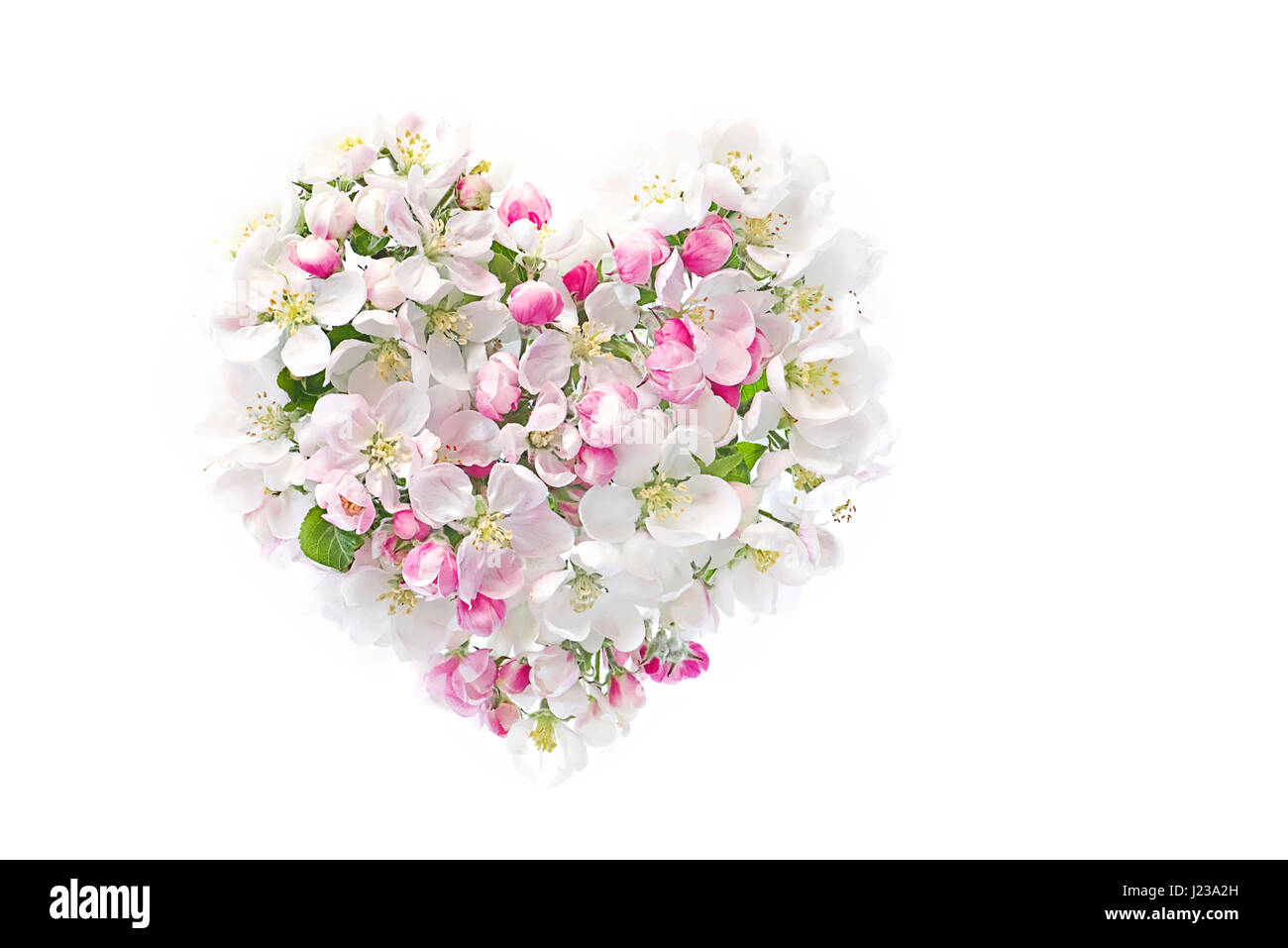 Spring landscape in white Cut Out Stock Images & Pictures - Alamy