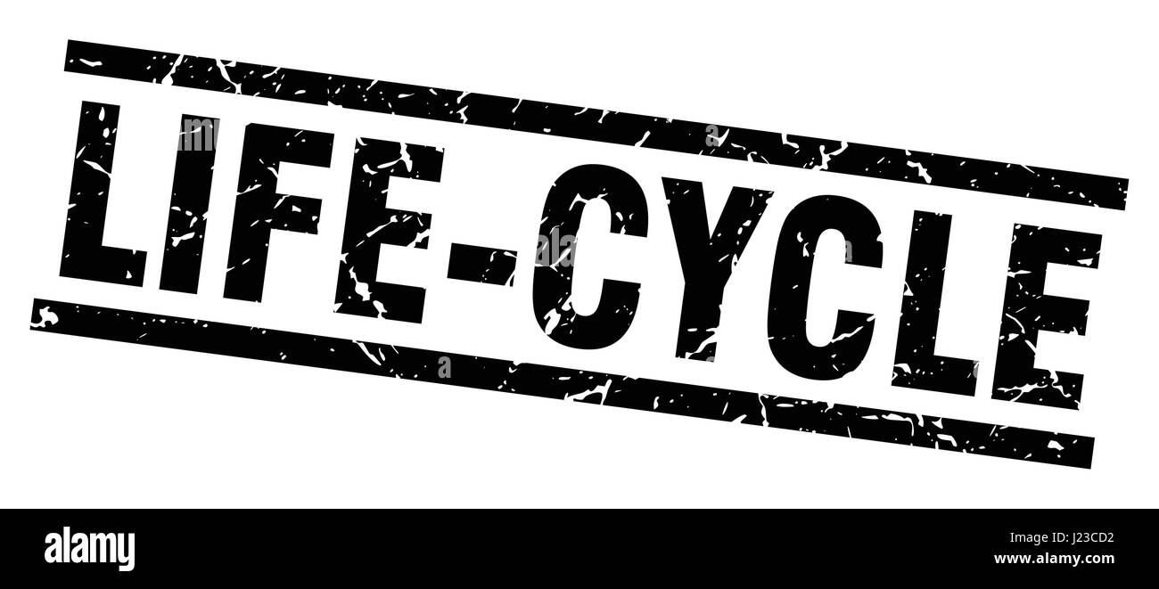 square grunge black life-cycle stamp Stock Vector Image & Art - Alamy