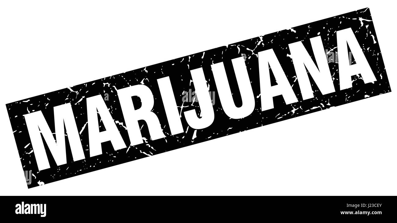 square grunge black marijuana stamp Stock Vector Image & Art - Alamy