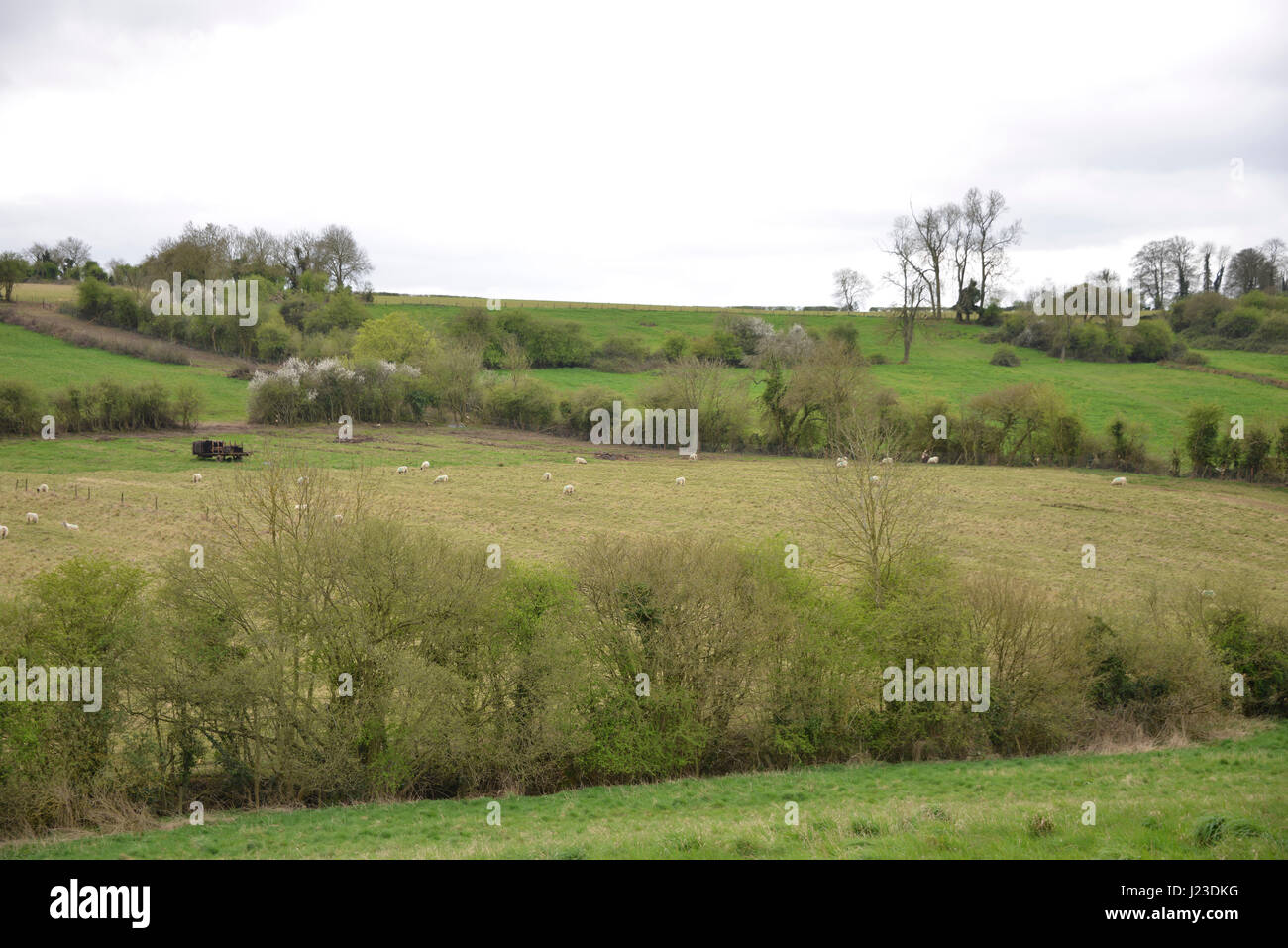 Enclosing hedges hi-res stock photography and images - Alamy