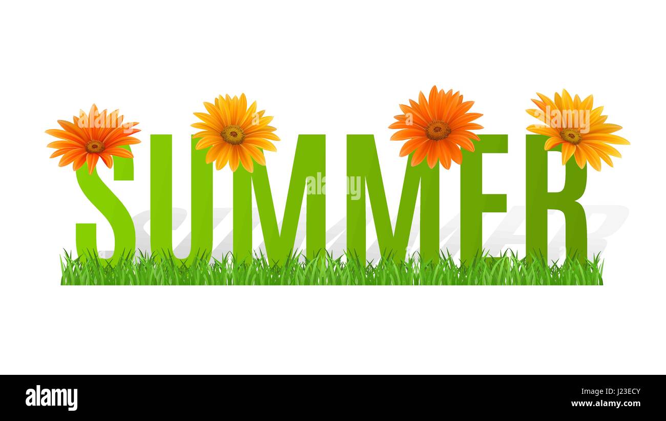 Summer Typographic Banner with flowers for design Stock Vector Image ...