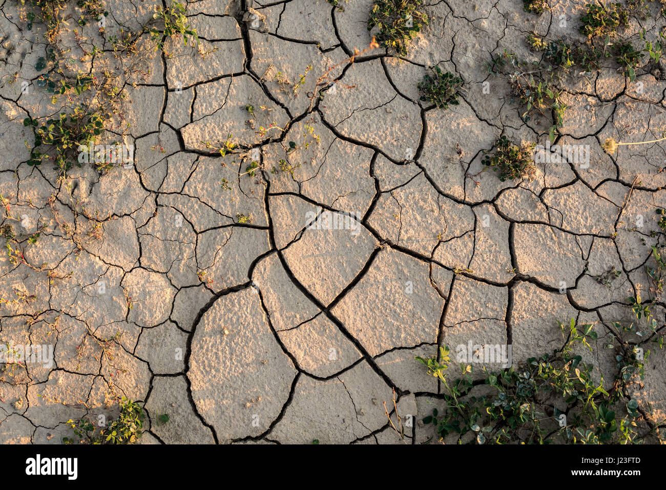 Drought agricultural land. The ground cracks, no water, lack of ...