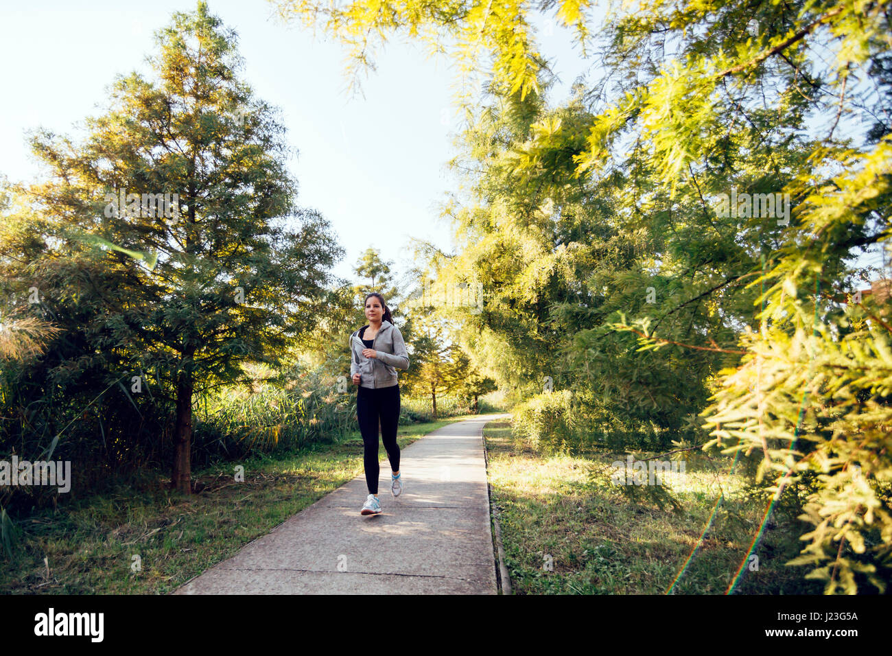 Fit woman jogging in park sorrounded by trees Stock Photo - Alamy