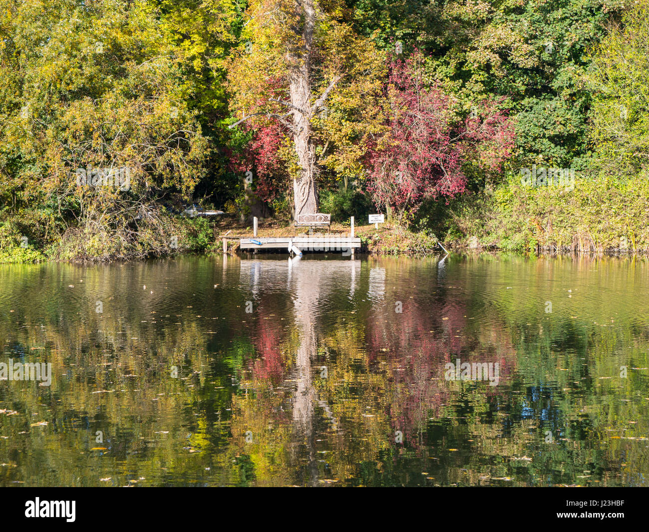 Bench, Pangbourne-on Thames, Reading, Berkshire, England Stock Photo ...