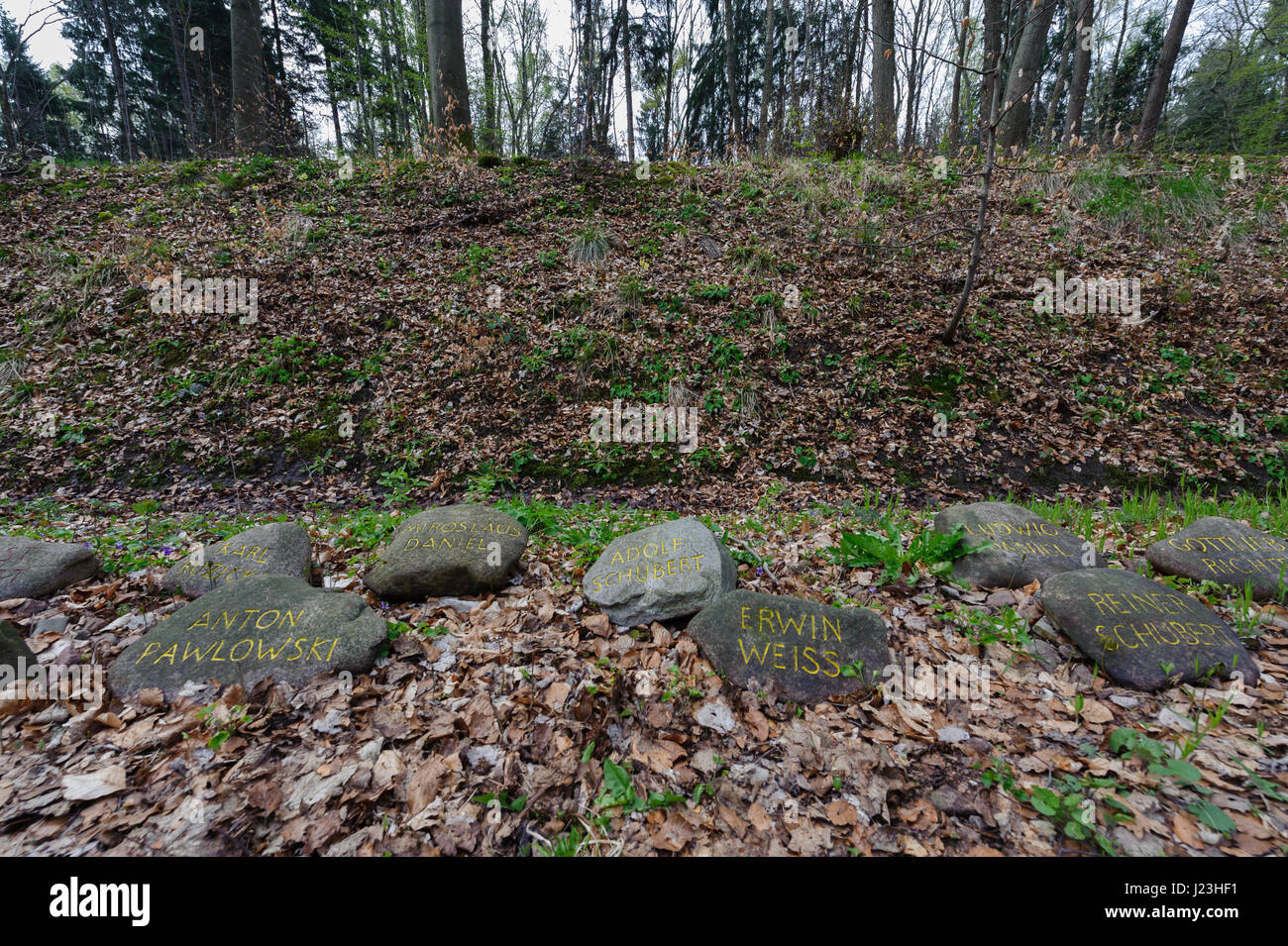 The Commemorative Buchenwald Railway Path . Stones with names of the ...
