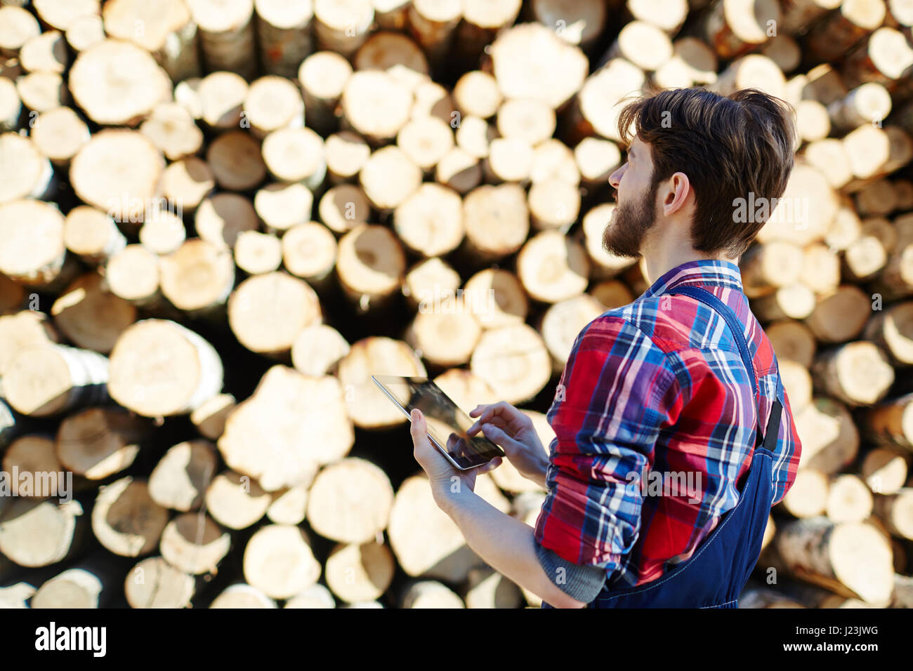 Forester with touchpad looking at stack of logs Stock Photo - Alamy