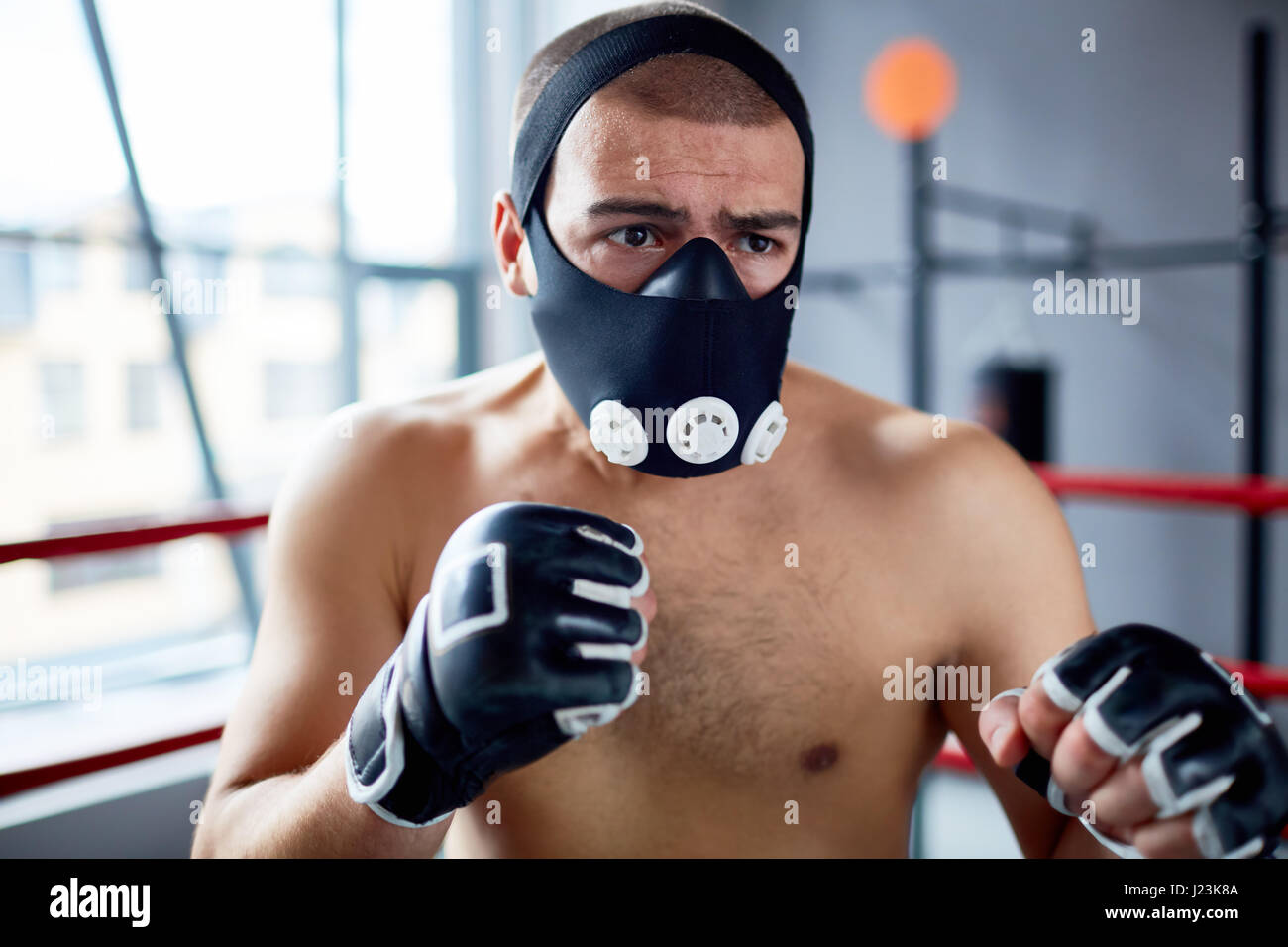 Portrait of shirtless boxer standing in fighting pose in boxing ring ...